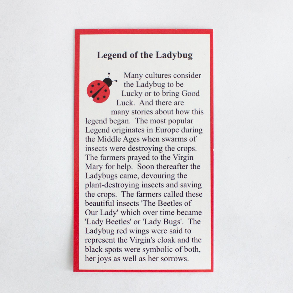 Ladybug Legend